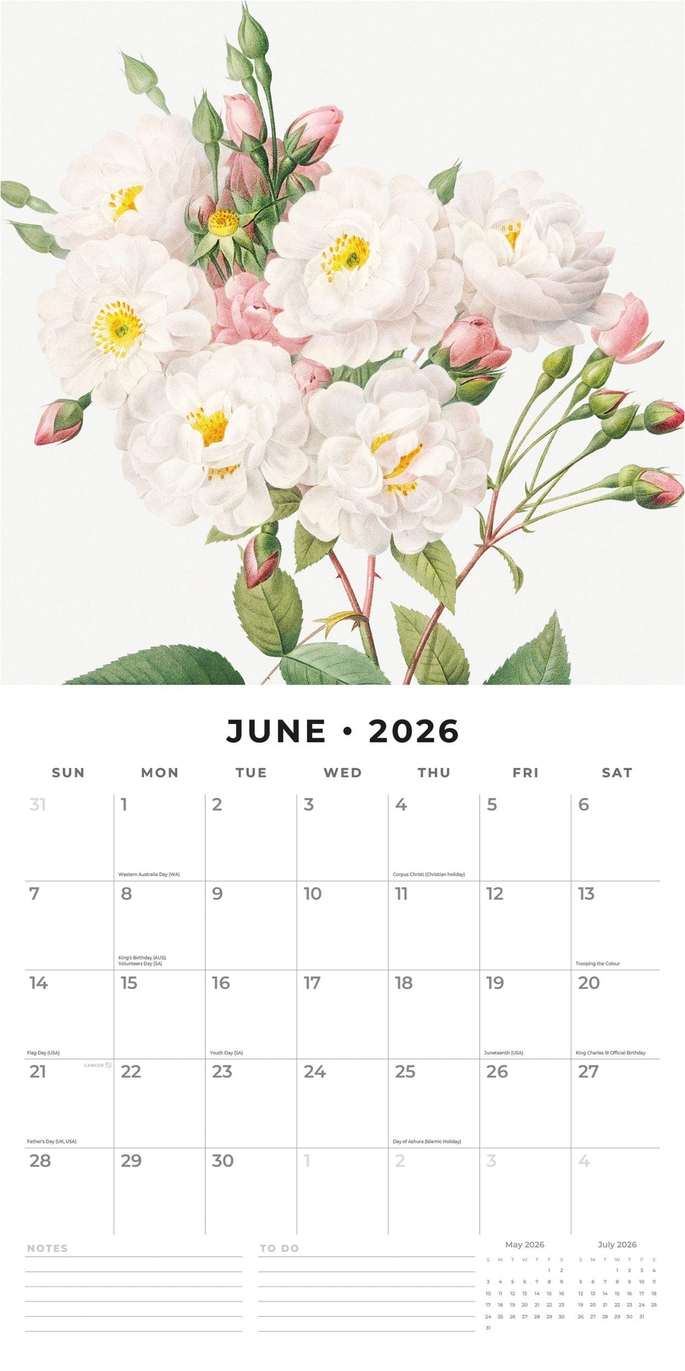 Wall Calendars 2026 - Stay Organized at Just Calendars