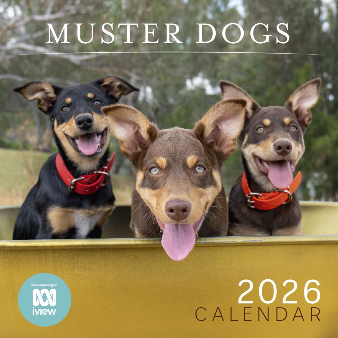 2026 ABC Muster Dogs - Square Wall Calendar