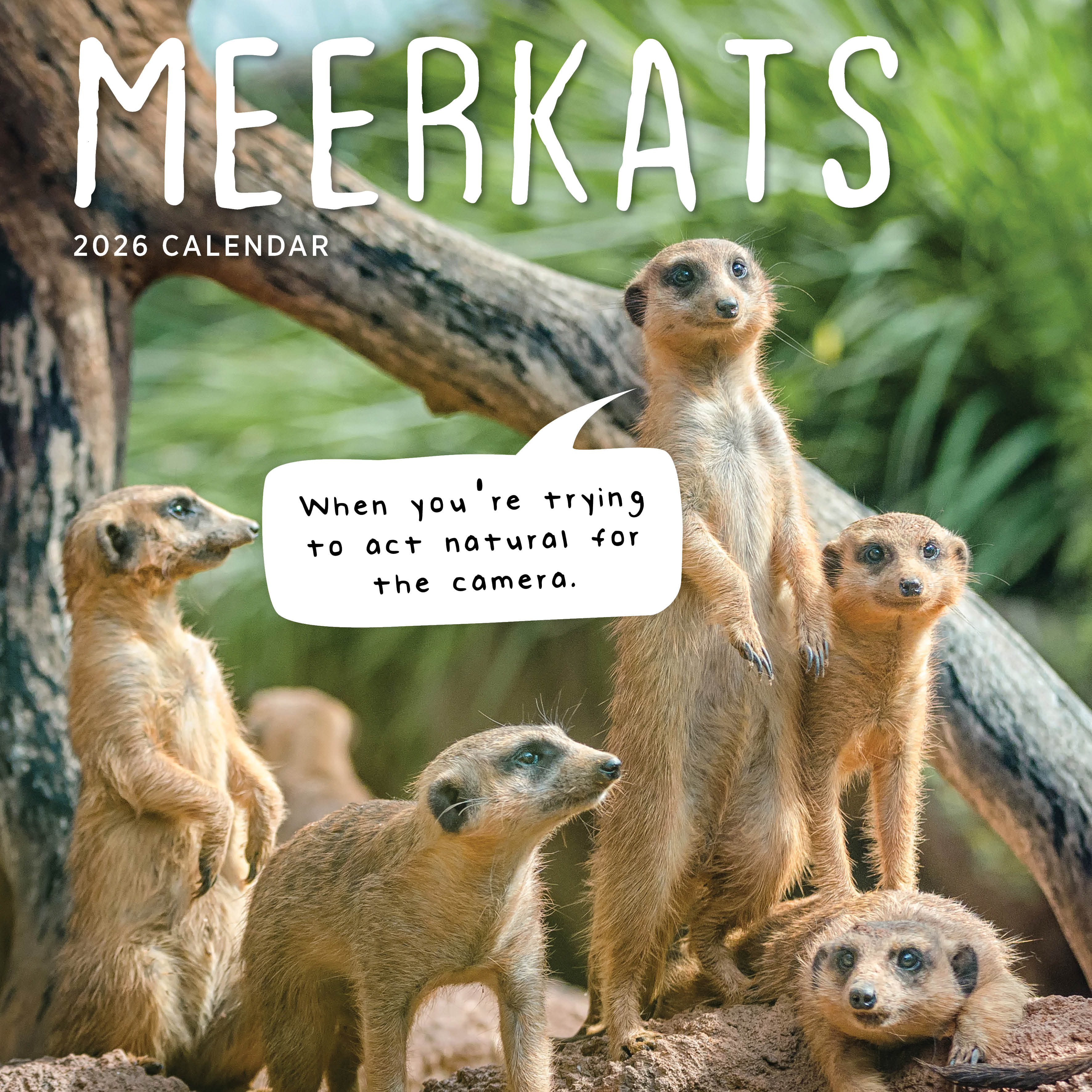 Animal Calendars 2026 - Celebrate Wildlife All Year Long