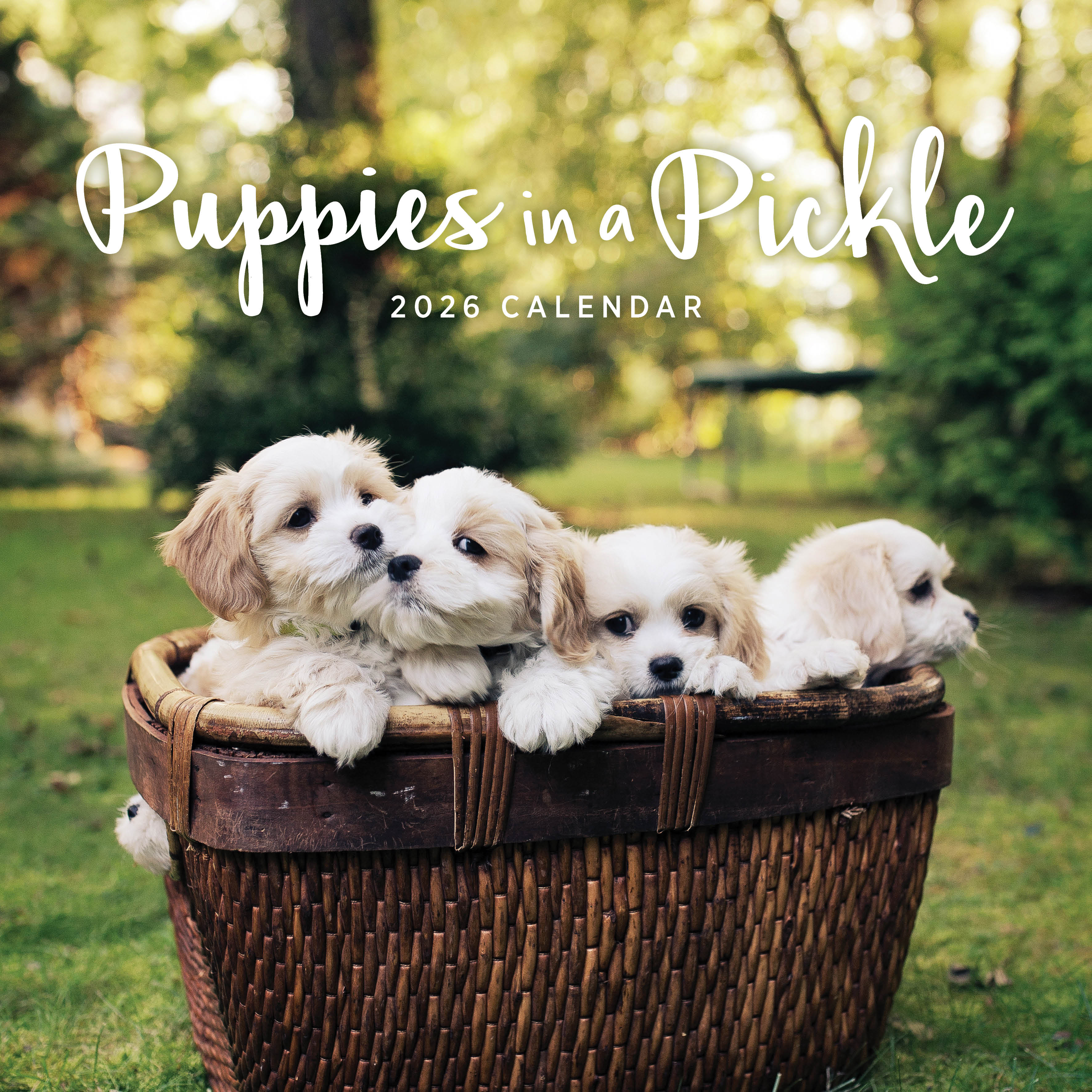 2026 Puppies In A Pickle - Square Wall Calendar
