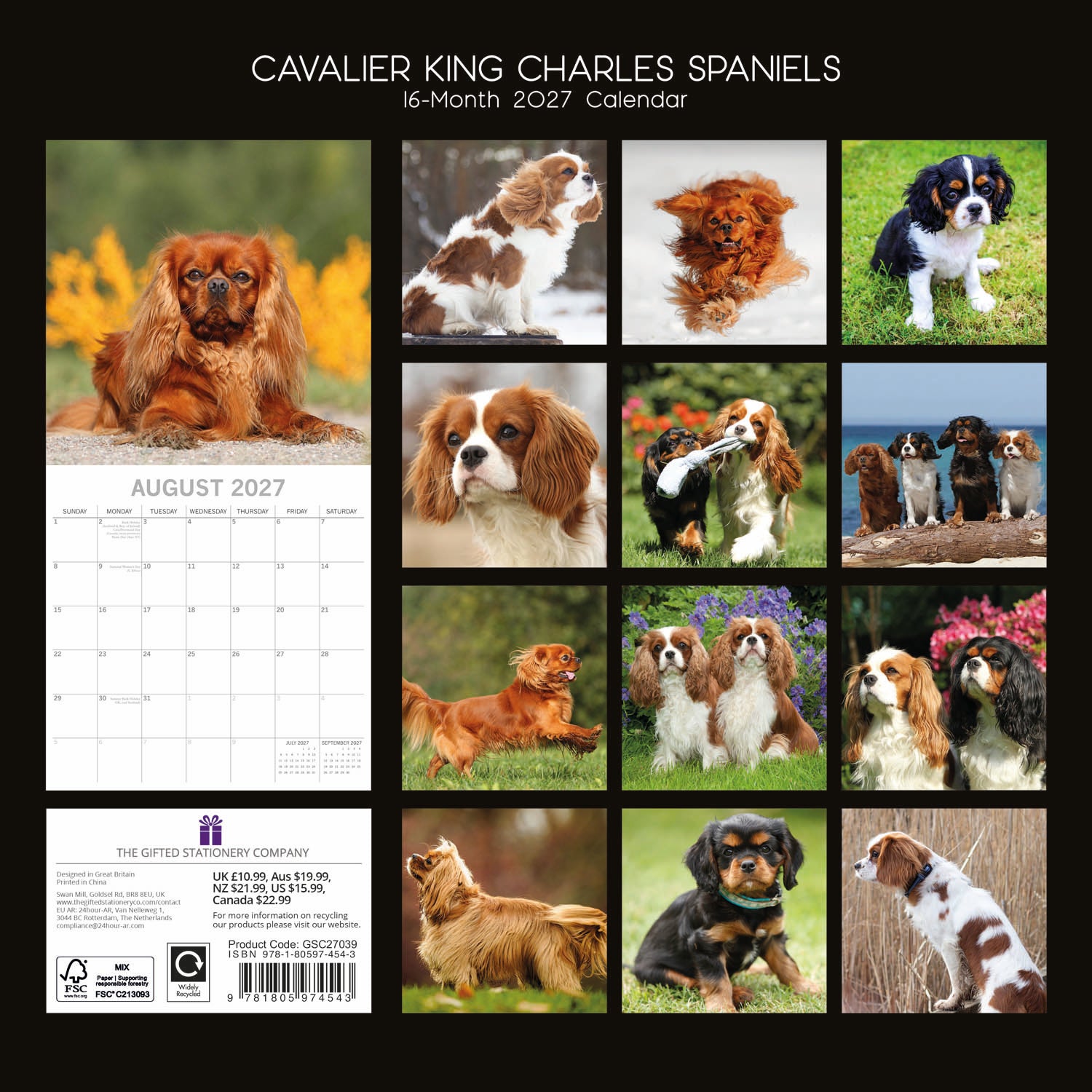 2027 Cavalier King Charles Spaniels - Square Wall Calendar