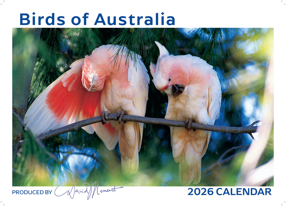 Australian Calendars: Enjoy Australia Year-Round