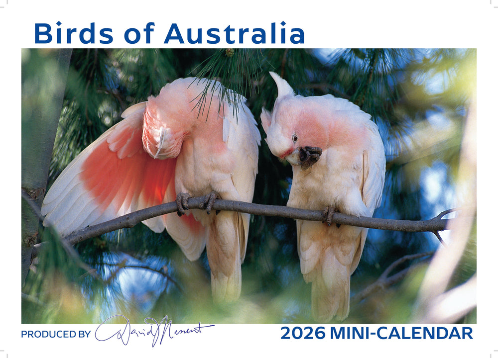 Australian Calendars: Enjoy Australia Year-Round