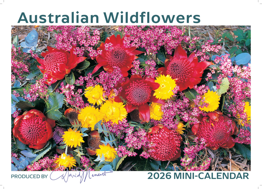 Australian Calendars: Enjoy Australia Year-Round