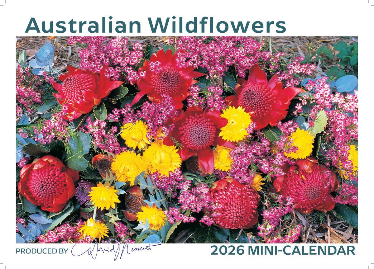 2026 Australian Wildflowers By David Messent - Mini Pocket Calendar
