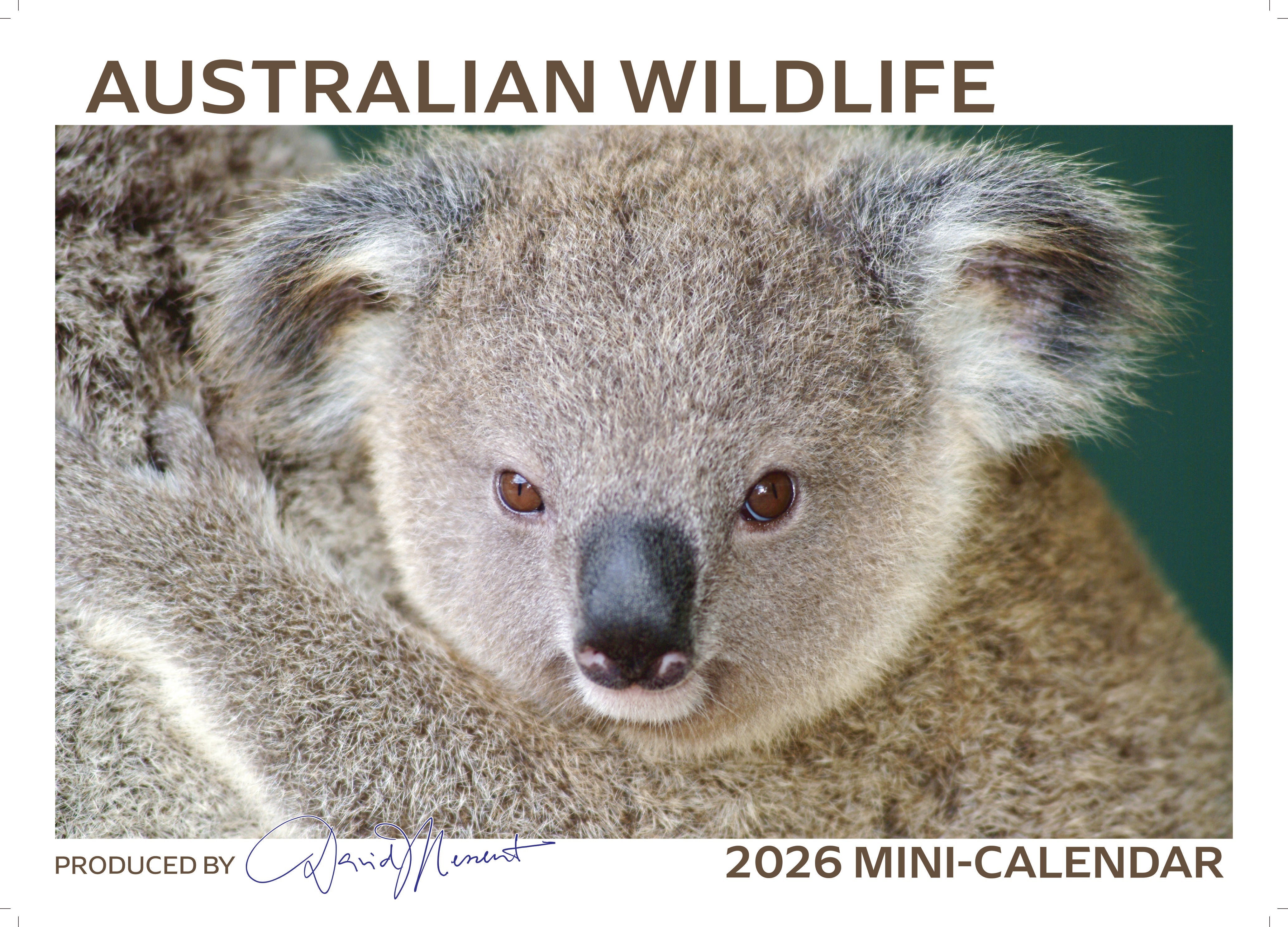 Australian Calendars: Enjoy Australia Year-Round