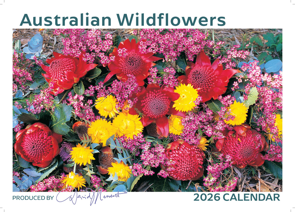 Australian Calendars: Enjoy Australia Year-Round